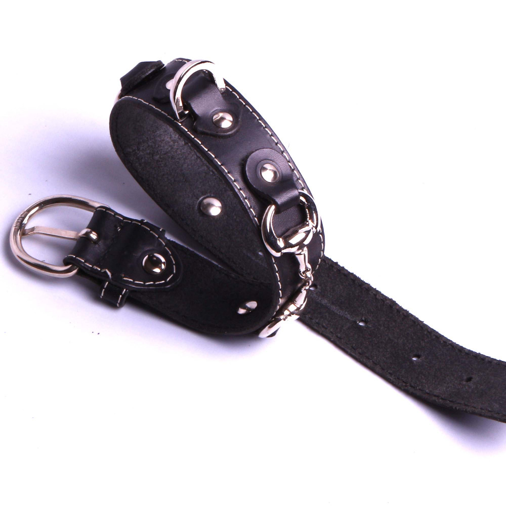 Fournitures pour animaux de compagnie - Colliers et laisses pour ...